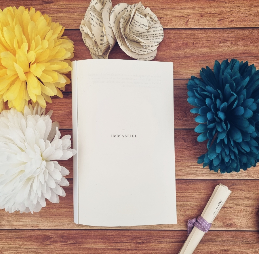 Book Review – Immanuel by Matthew McConaught – Lizzieslittlebooknook